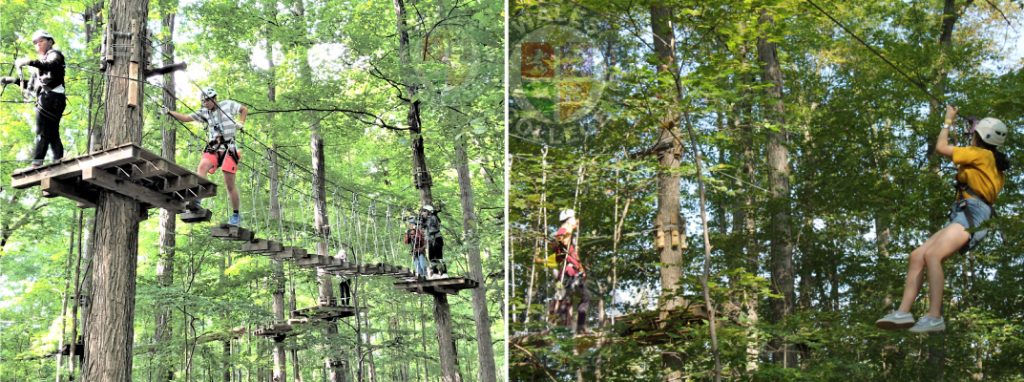 Team Building Activities: Tree Top Trekking; Visiting The Distillery ...