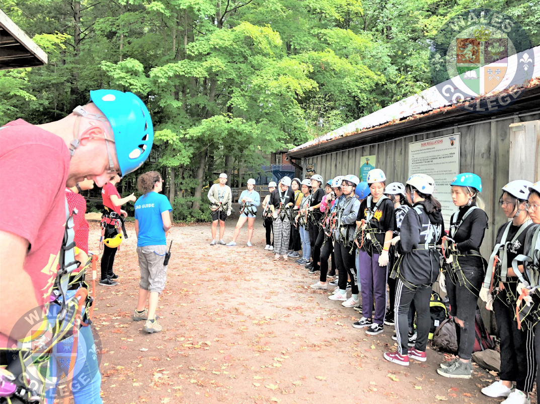 Team Building Activities: Tree Top Trekking; Visiting The Distillery ...